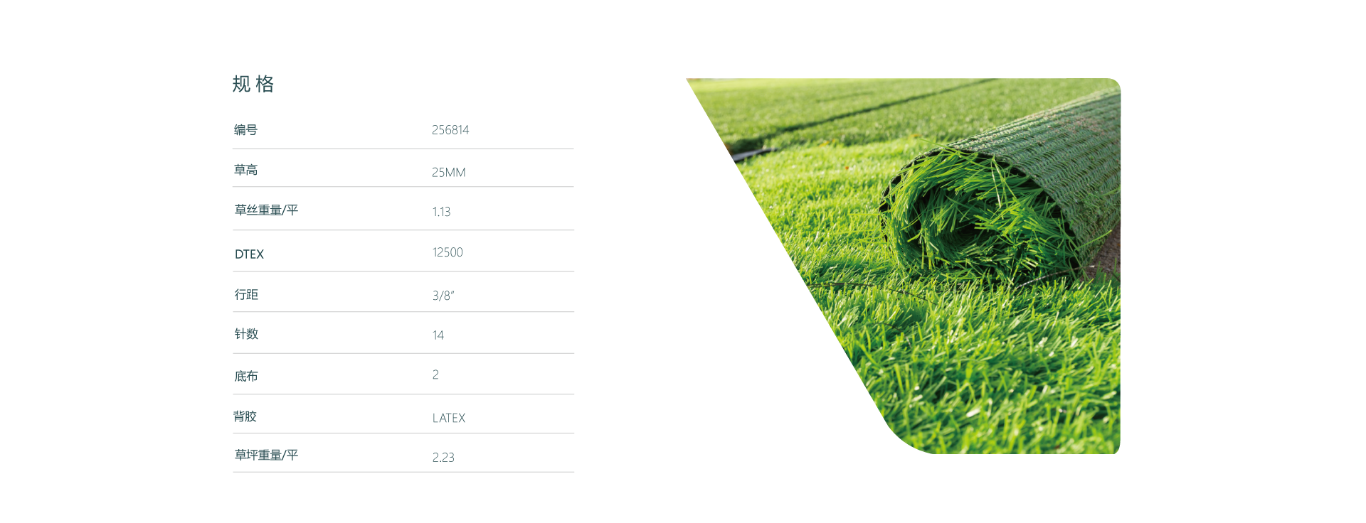 常州市金月亮织物厂有限公司